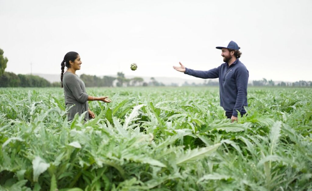 MightyMeals - Chef-Prepared Healthy Meals Delivered Fresh To You!